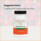 berberine for blood sugar support