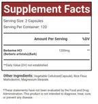 Berberine for blood sugar support