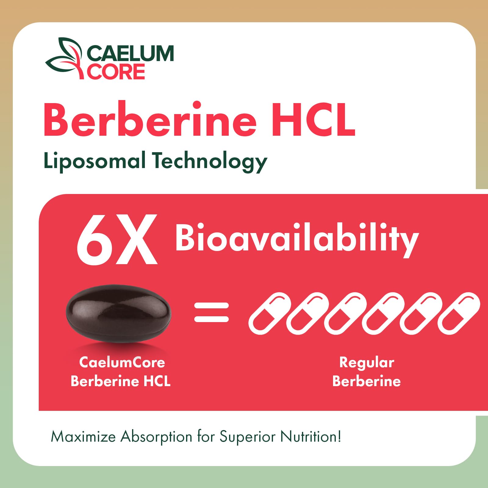Berberine for cardiovascular support