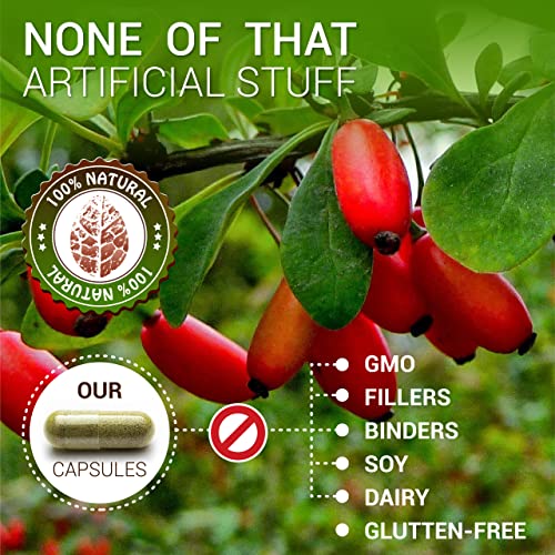 berberine for digestive health support
