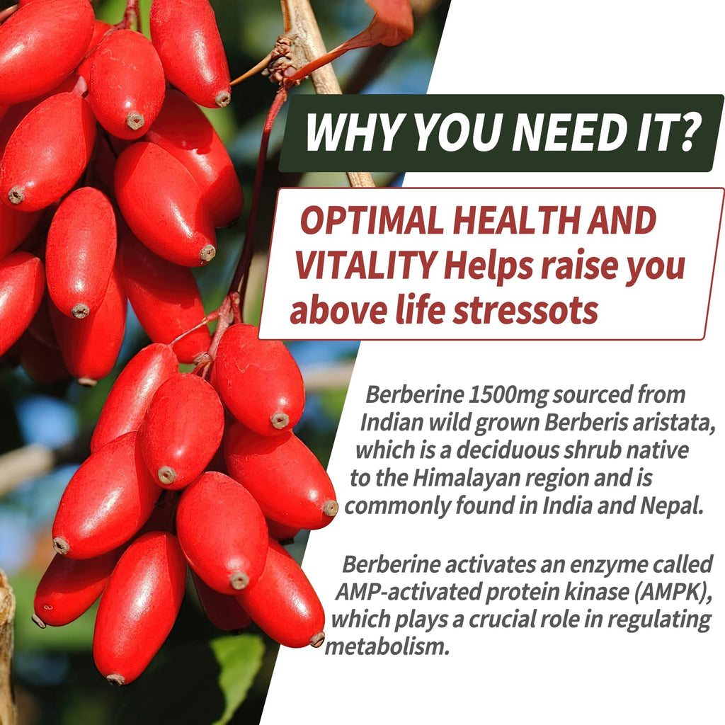 berberine gummies for blood sugar balance