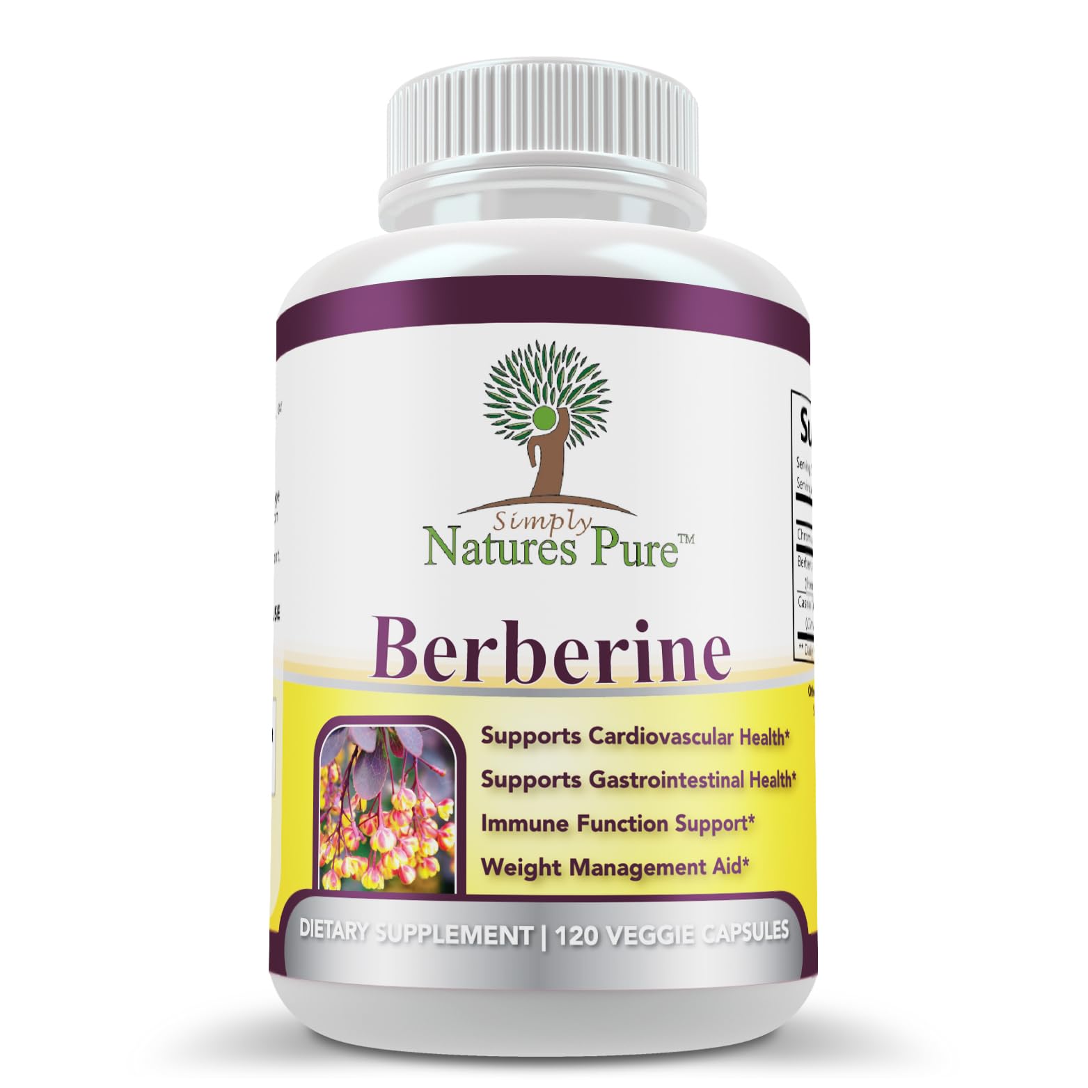 berberine hcl 500 mg capsules