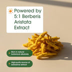 berberine hcl capsules for wellness