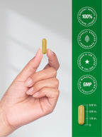 berberine hcl for balanced blood sugar