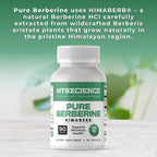 berberine hcl for blood sugar balance