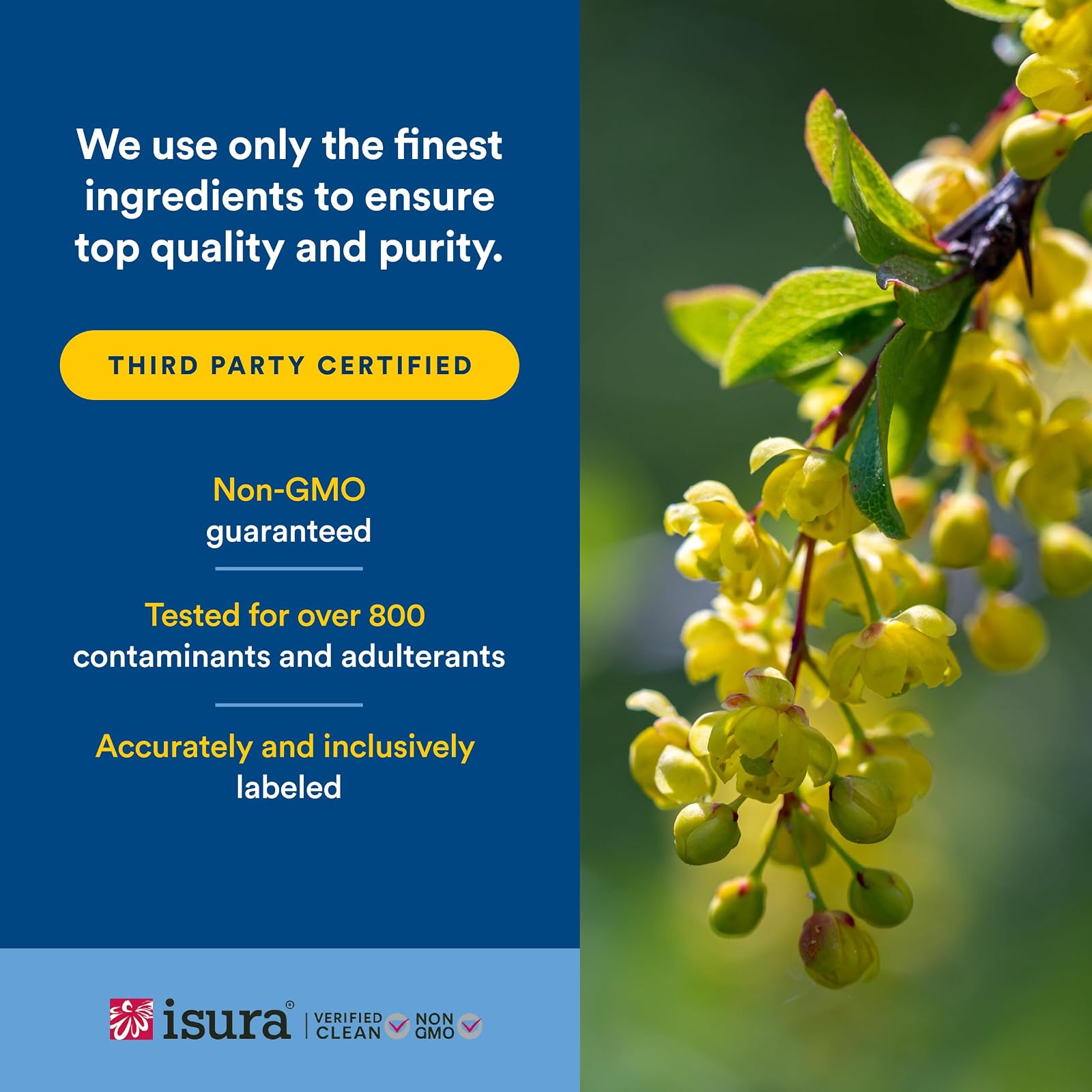 berberine hcl for digestive wellness