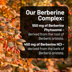 berberine hcl for digestive wellness