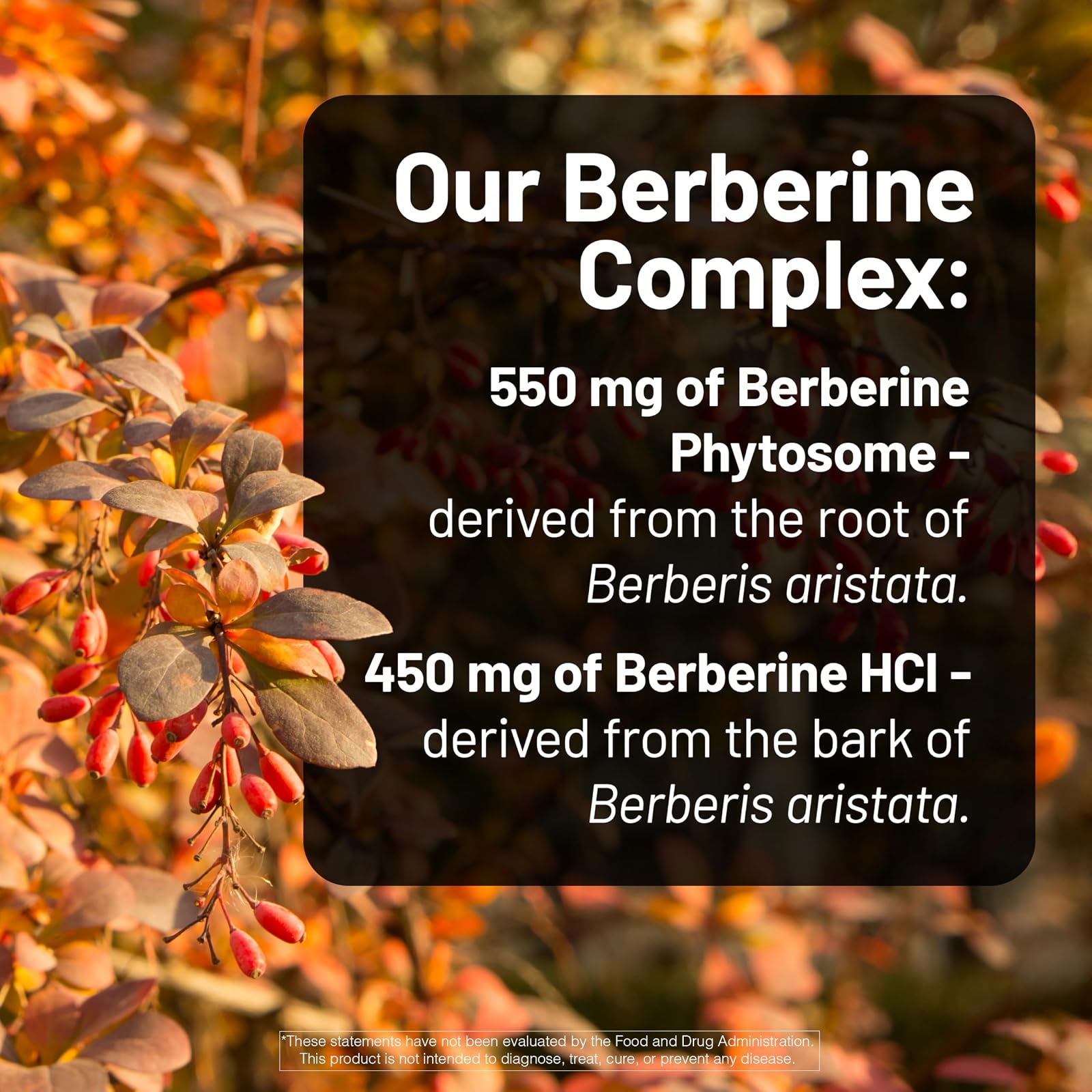 berberine hcl for digestive wellness