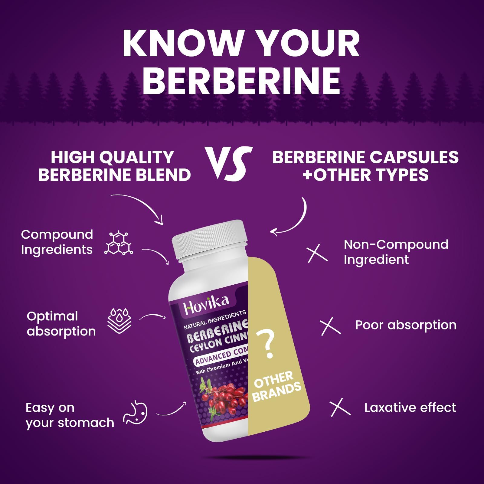 Berberine HCL for enhanced metabolism