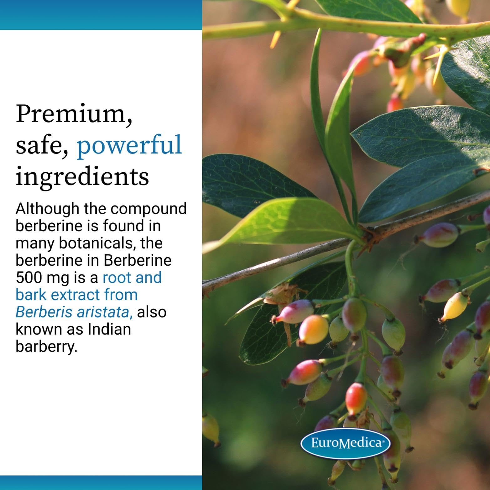 berberine hcl for metabolic balance
