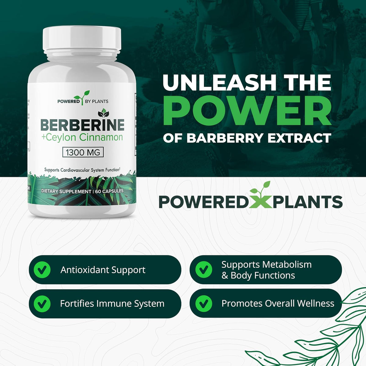 berberine hcl for metabolic health