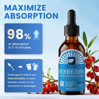 berberine hcl supplement for metabolism