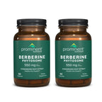 berberine phytosome 550 mg capsules