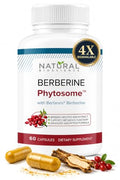 berberine phytosome complex capsules