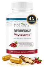 berberine phytosome complex capsules