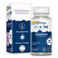 berberine phytosome for digestive health