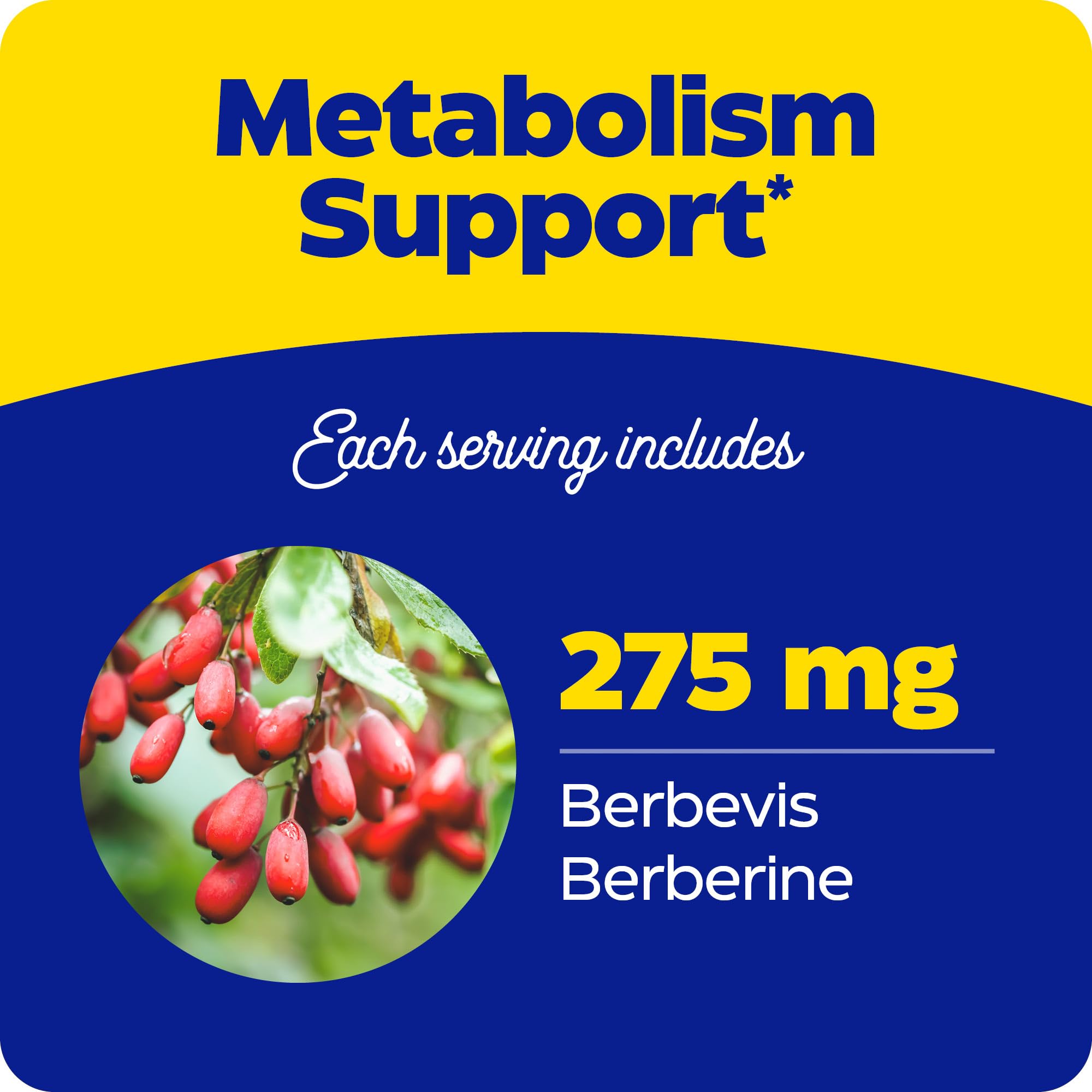 berberine phytosome for energy