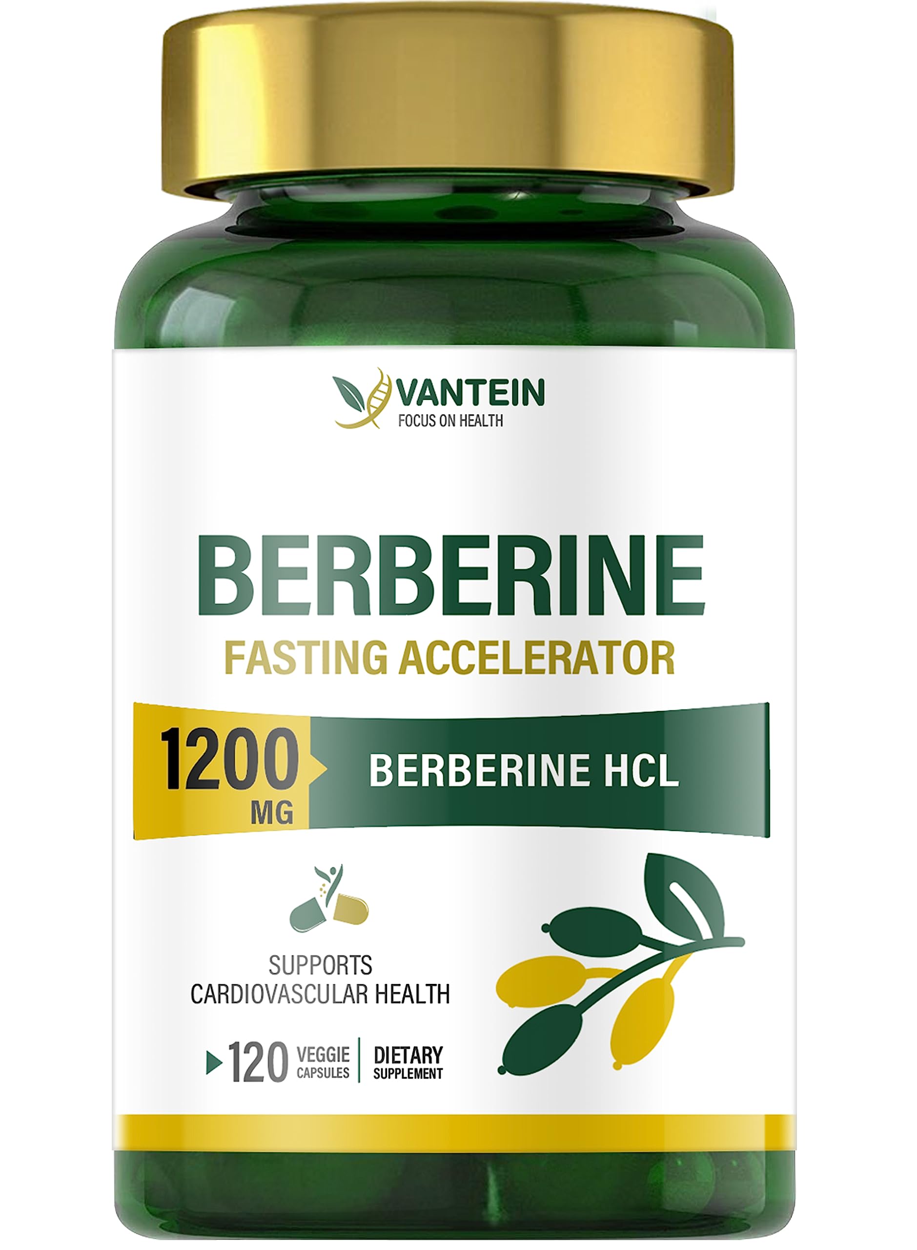 Berberine supplement for immune support