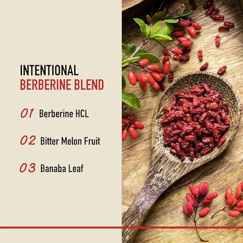 berberine supplement for improved digestion