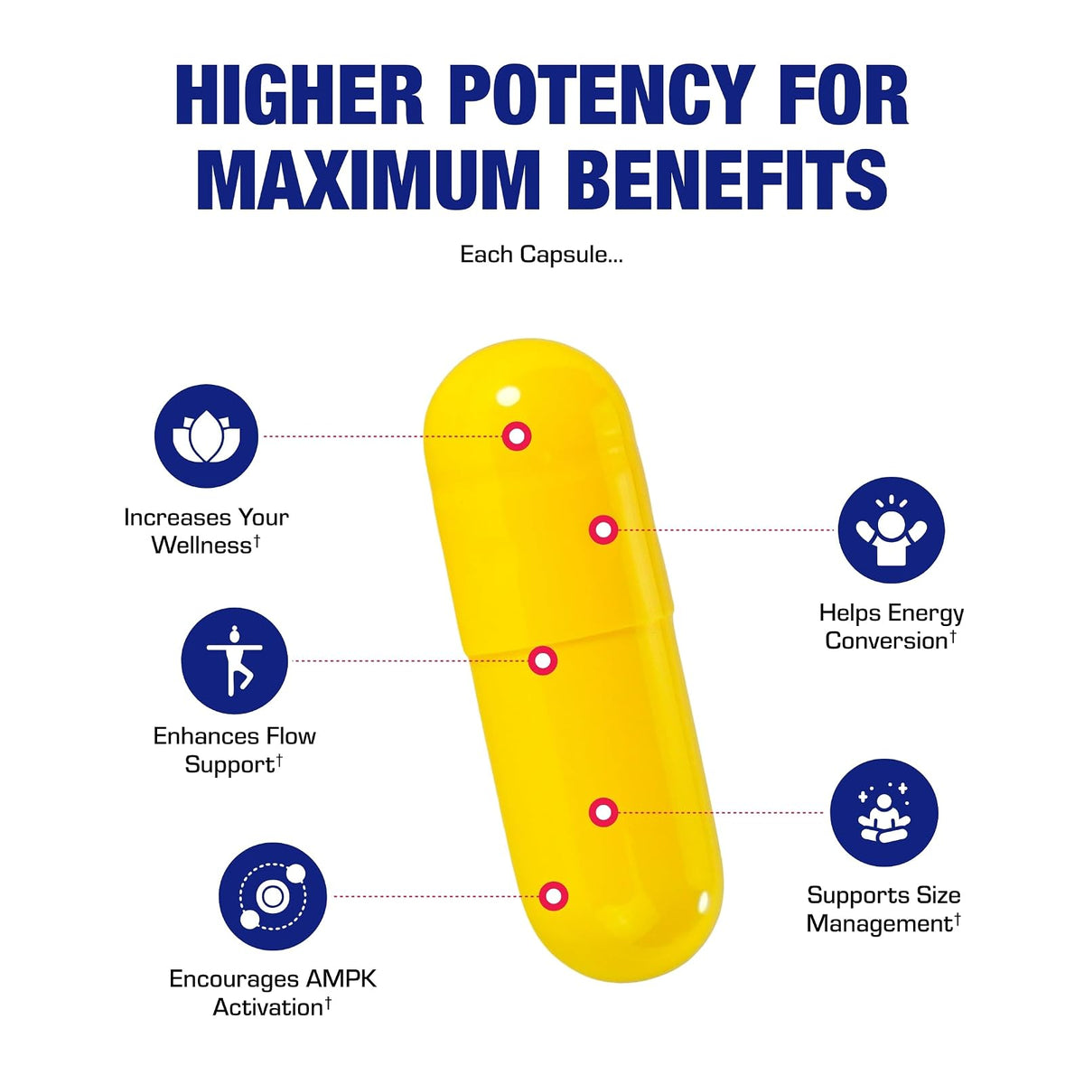 Berberine supplement for weight management