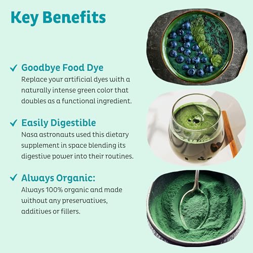 berry coconut cooler spirulina drink