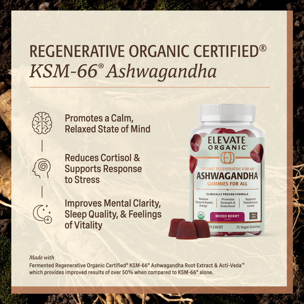 Berry flavour KSM-66 Ashwagandha supplements