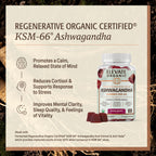 Berry flavour KSM-66 Ashwagandha supplements