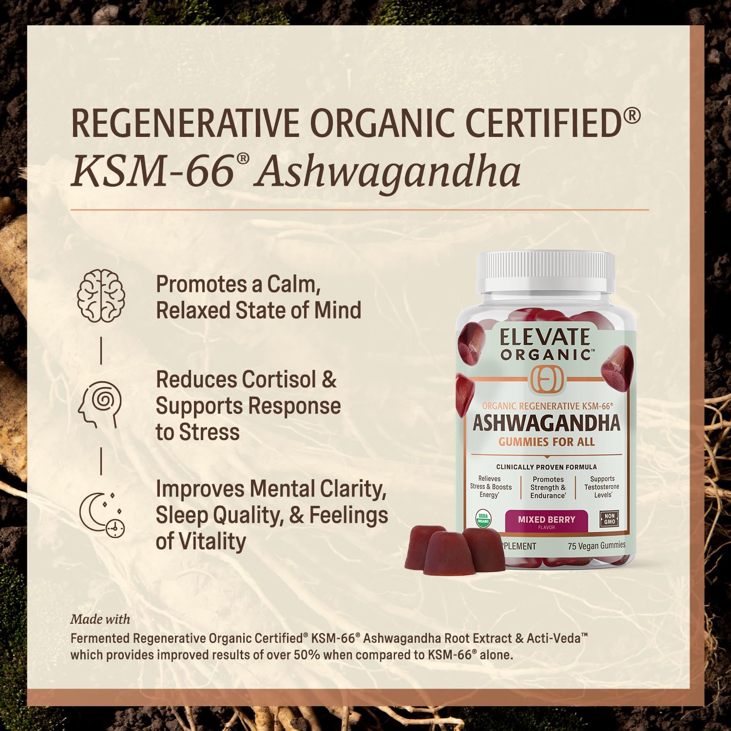 Berry flavour KSM-66 Ashwagandha supplements