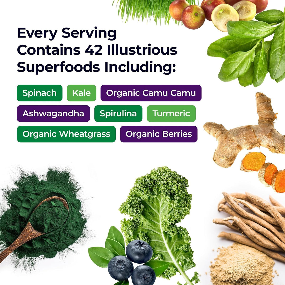 Berry powder for natural energy