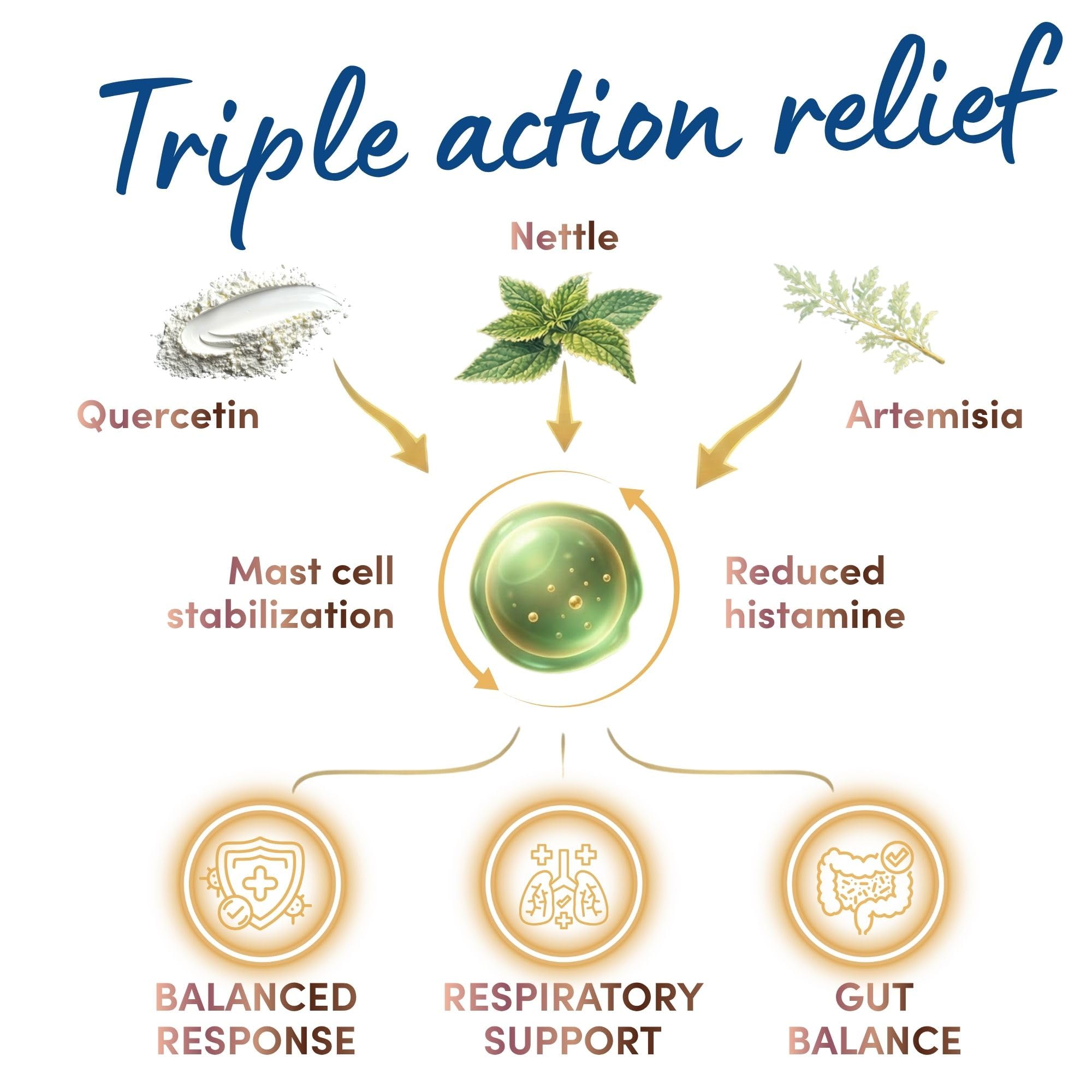 best allergy medicine for adults
