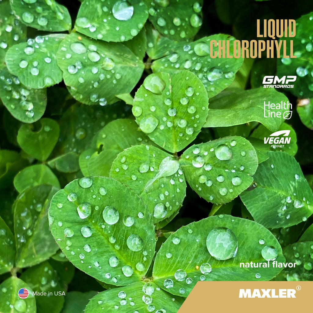 best chlorophyll for bad breath