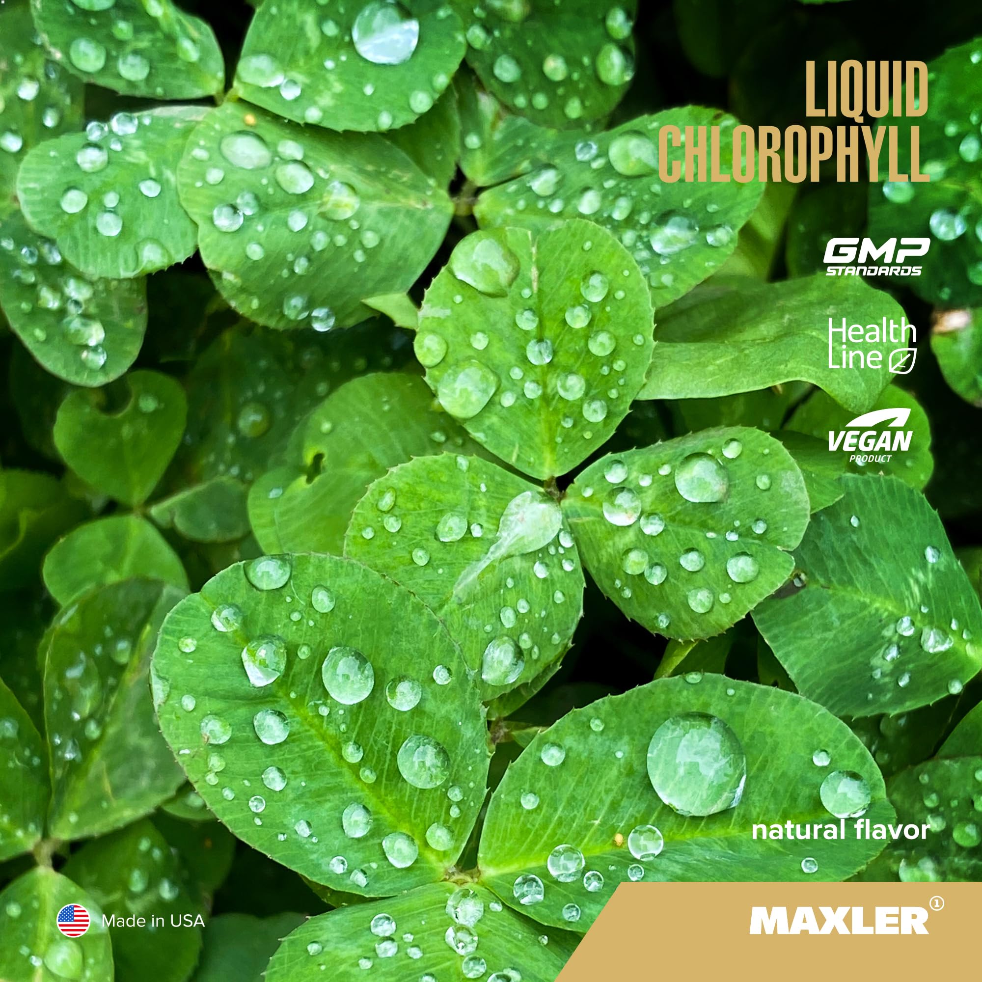 best chlorophyll for bad breath