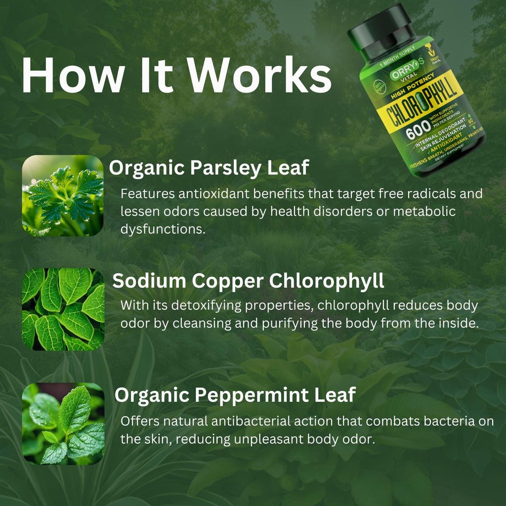 Best chlorophyll supplement for daily wellness