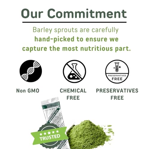 best chlorophyll supplement for energy