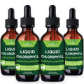 best chlorophyll supplement for energy