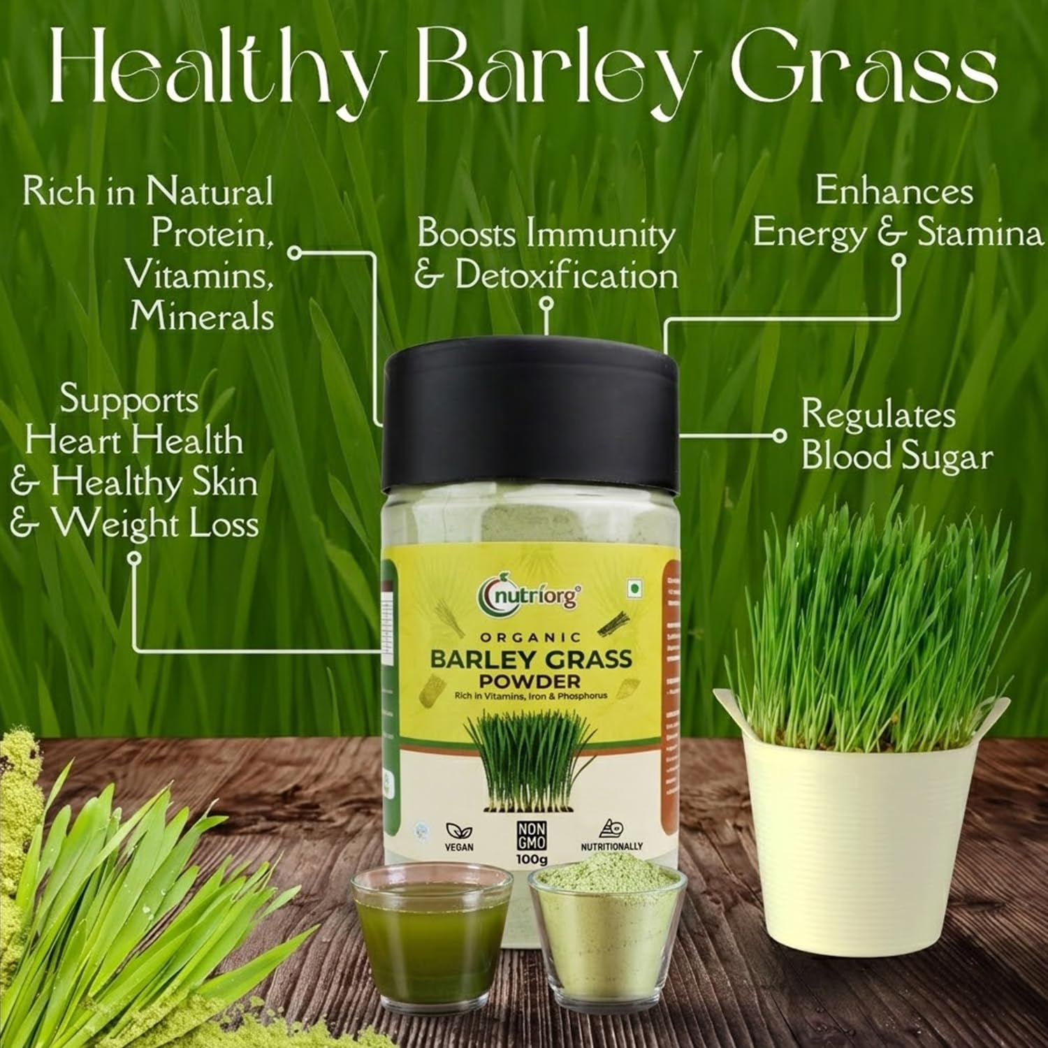 Best chlorophyll supplement for energy