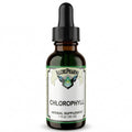 best chlorophyll supplement for energy