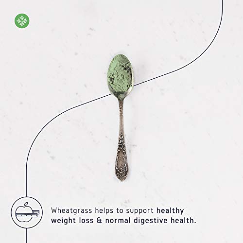 best chlorophyll supplement for energy