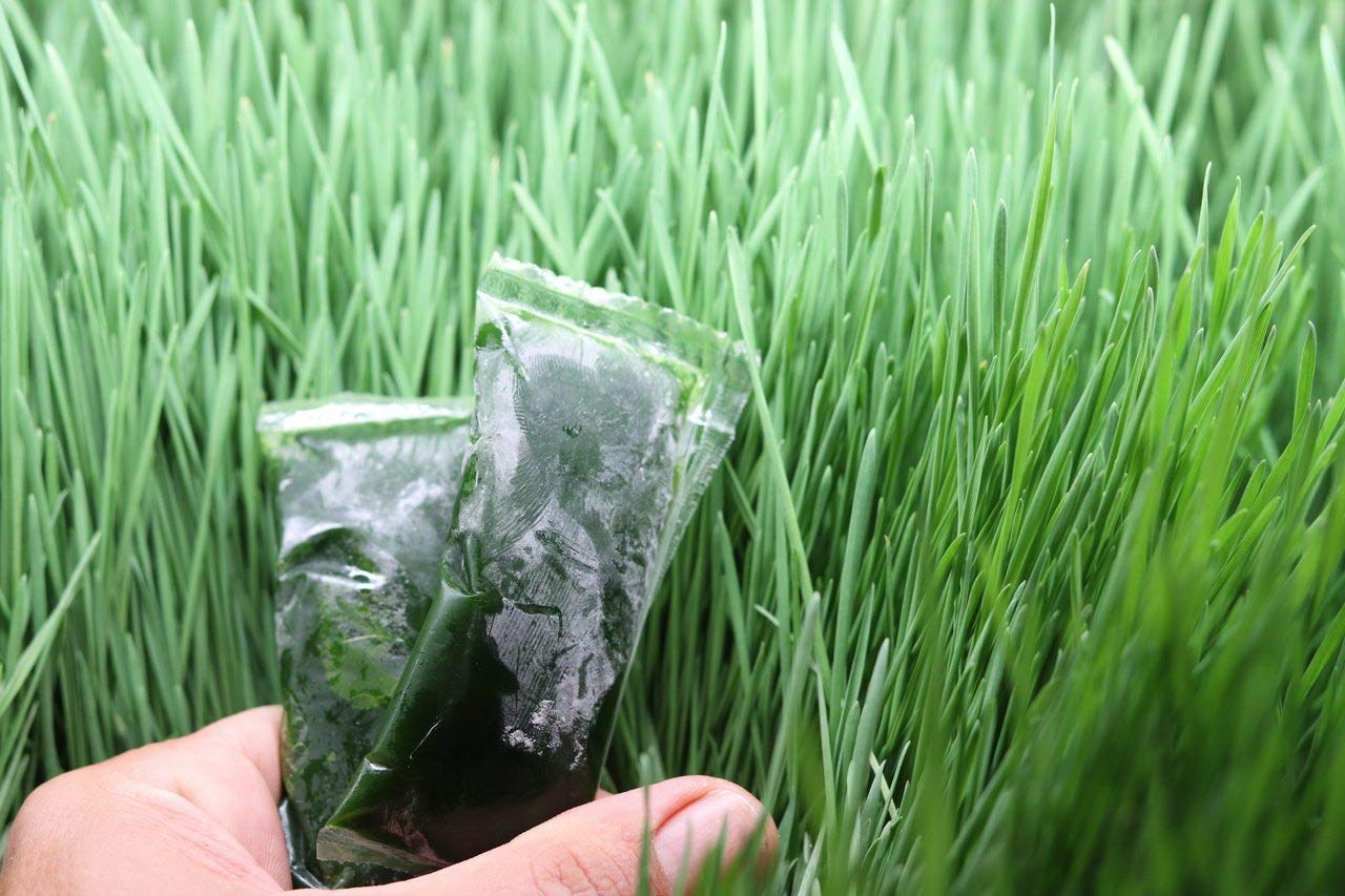 best chlorophyll supplement for health