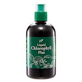 best chlorophyll supplement for health