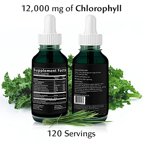 best chlorophyll supplement for health