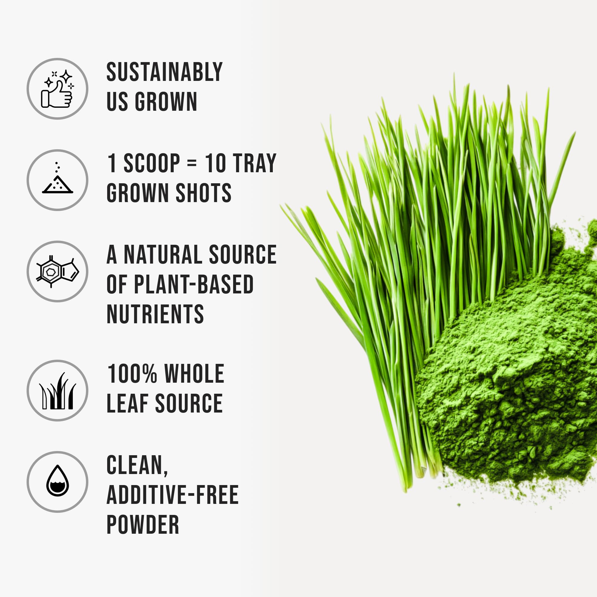 best chlorophyll supplement for health