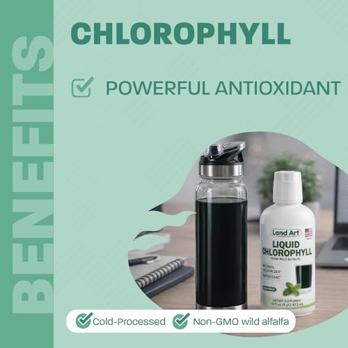 Best chlorophyll supplement for vibrant health