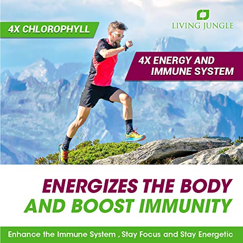 best chlorophyll supplement for vitality