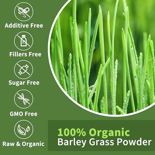 best chlorophyll supplement for vitality