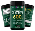 best chlorophyll supplement for wellness