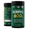 best chlorophyll supplement for wellness