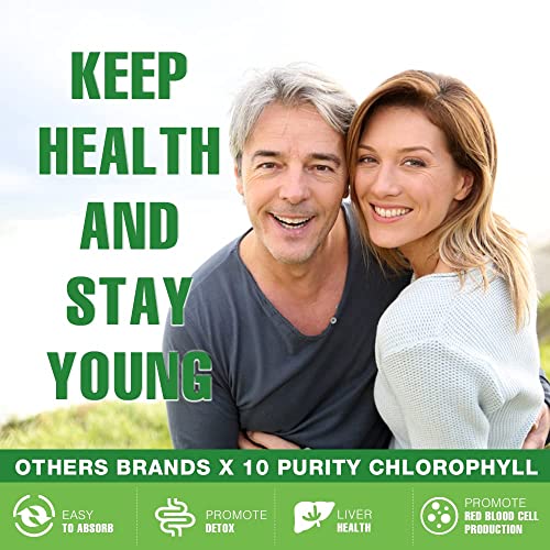 best chlorophyll supplement for wellness