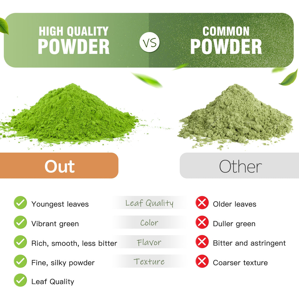 best chlorophyll supplement for wellness