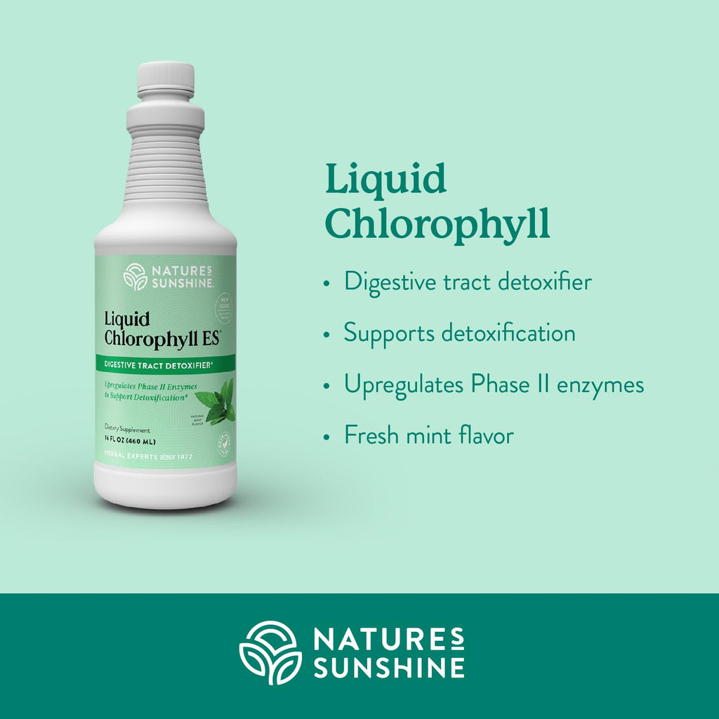 best chlorophyll supplement for wellness